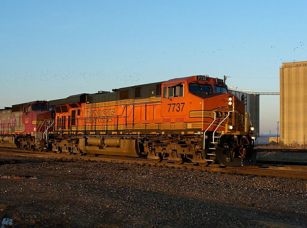 BNSF 7737